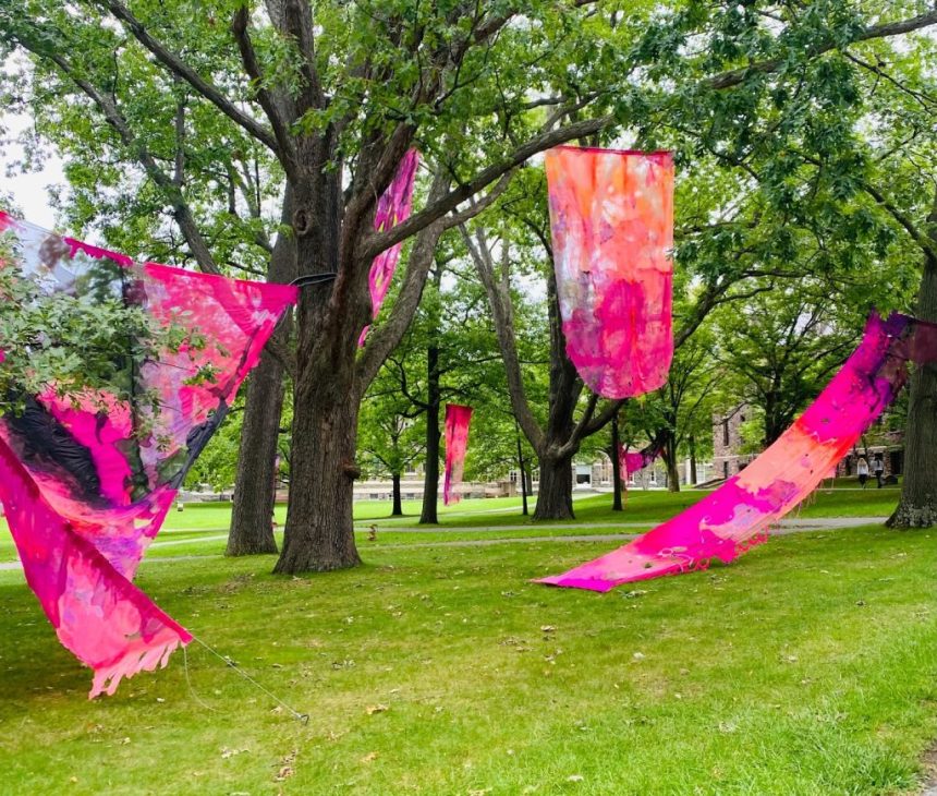 Cornell Biennial Art Installations Focus on “Whiteness” and “Settler ...