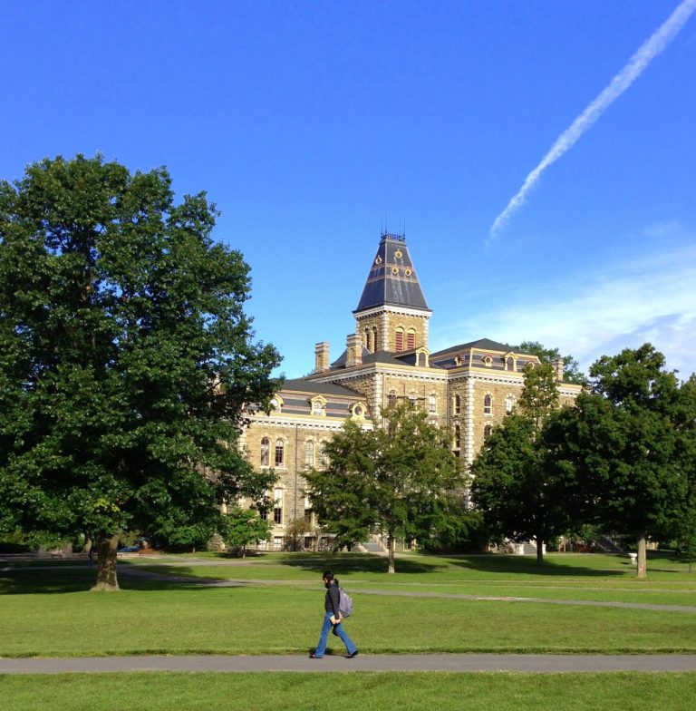 Cornell’s Endowment Earns Middle-of-the-Pack Returns – The Cornell Review